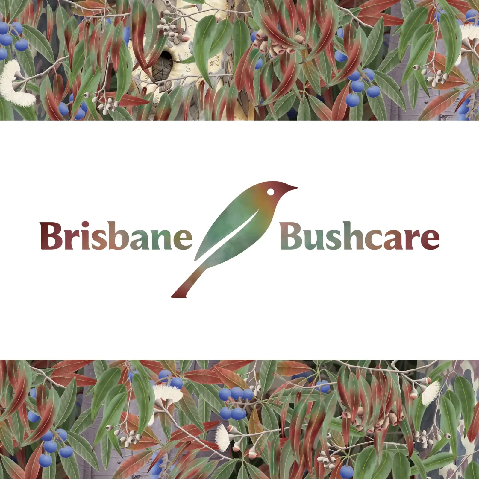 Evocative | Brand Design - Brisbane Bushcare brand design